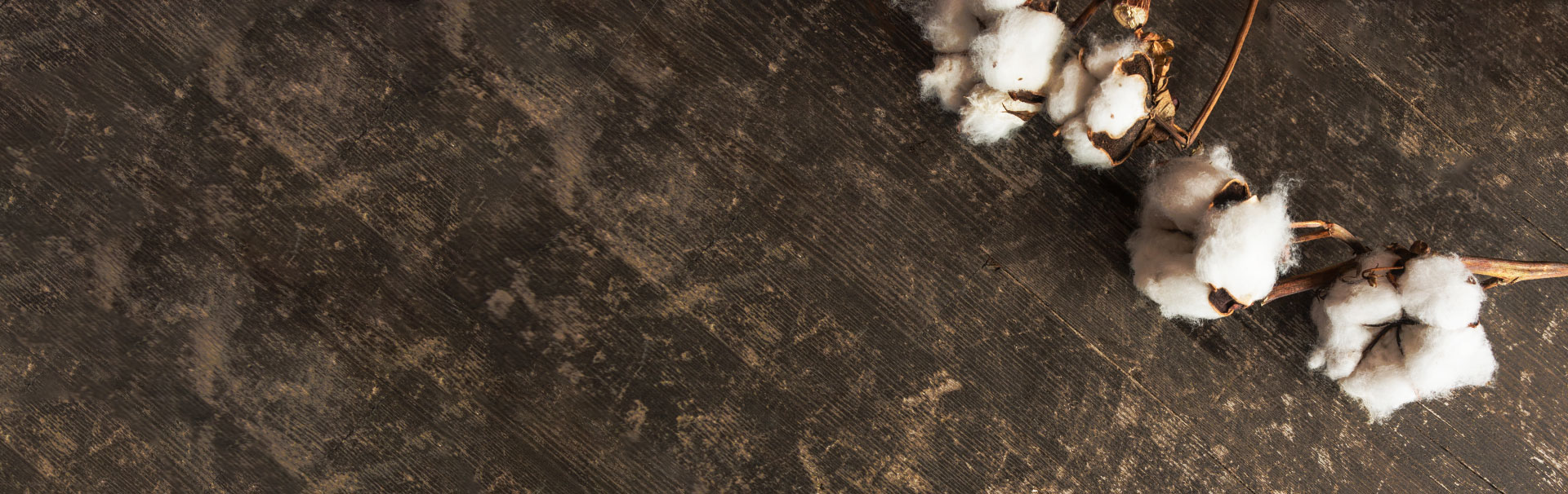 Cotton Production practices and resources from Cotton Incorporated